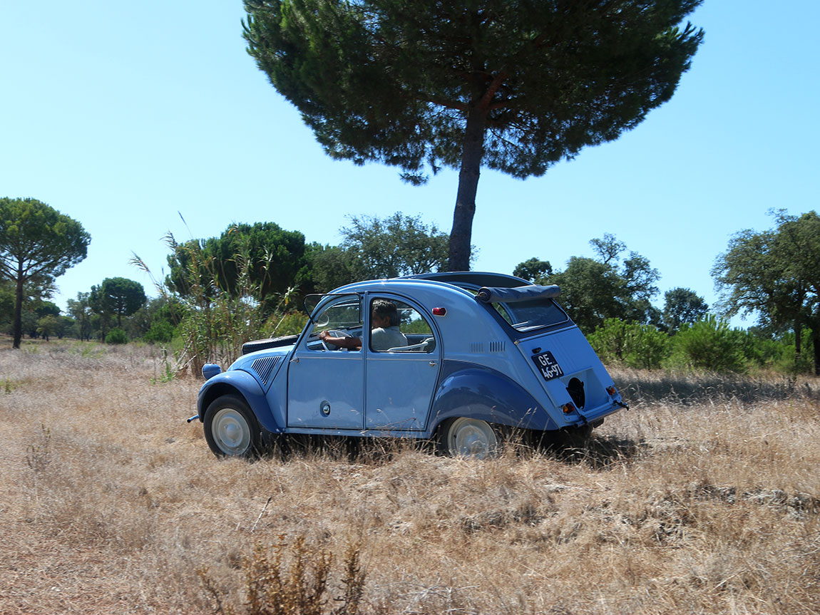PRUEBA: Citroën 2CV Sahara - Periodismo del Motor