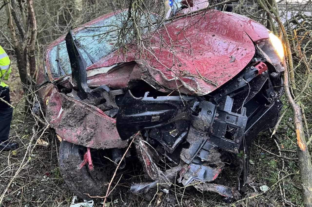 Un Ferrari Roma termina 2023 estrellado contra los árboles - Periodismo ...